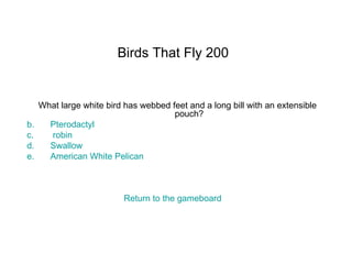 Bird Jeopardy By Audrey | PPT