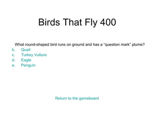 Bird Jeopardy By Audrey | PPT