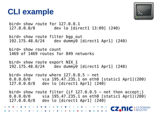 BIRD Routing Daemon | PDF