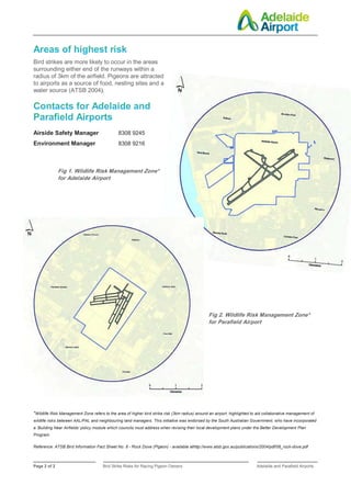 Bird Strike Risks For Racing Pigeon Owners Adelaide Airport | PDF