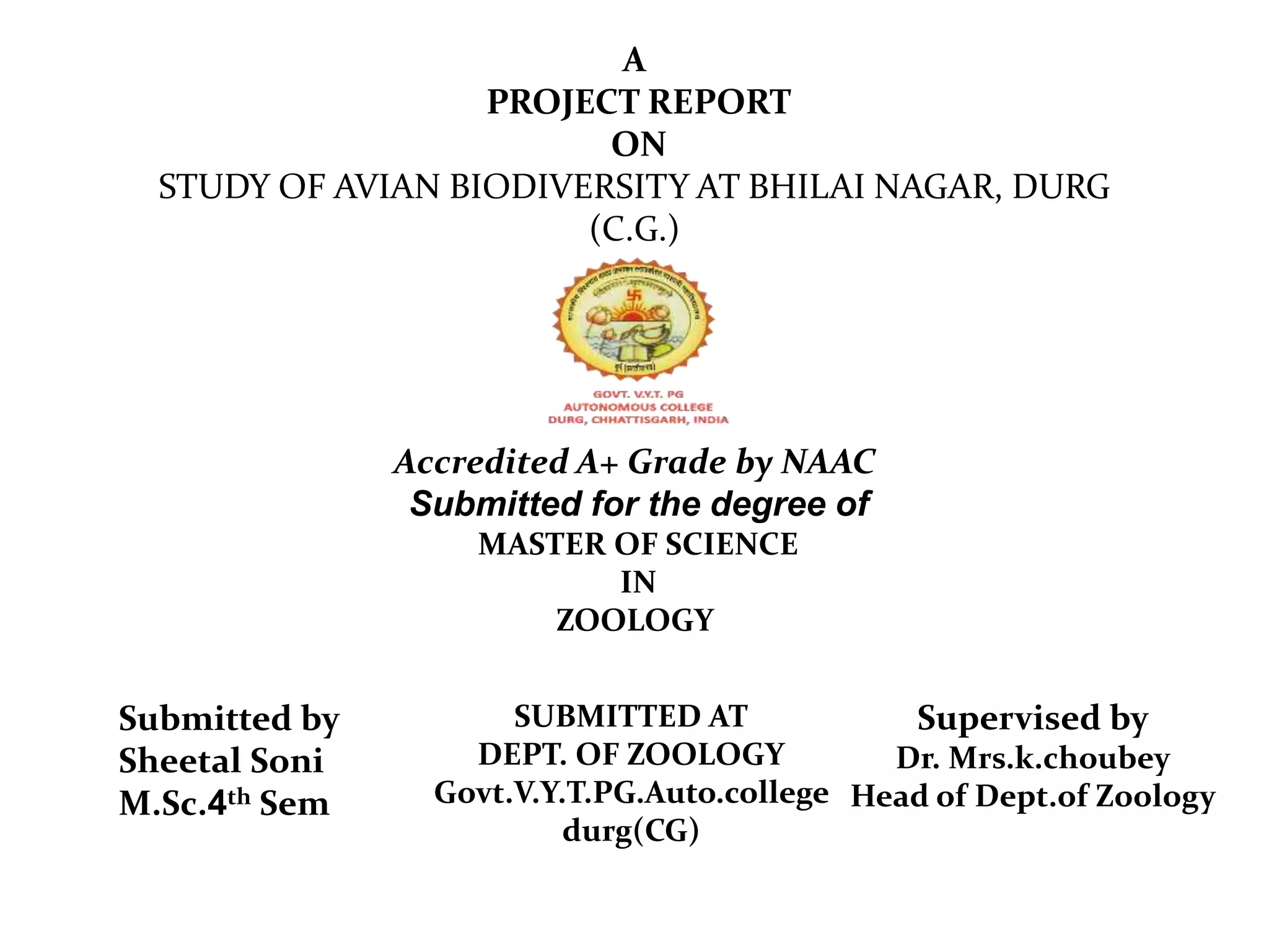 Birds project - collection and identification of birds | PPTX