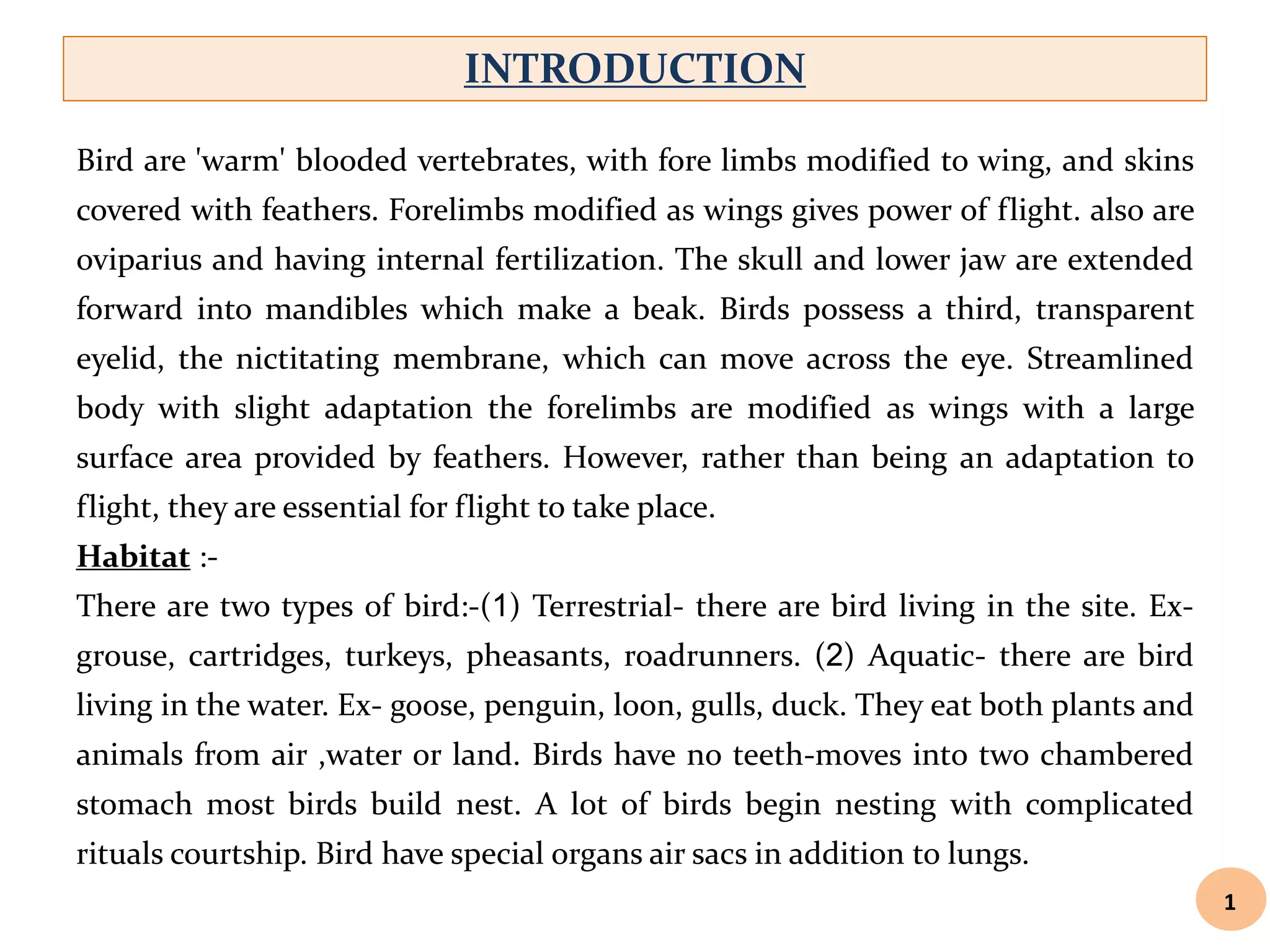 Birds project - collection and identification of birds | PPTX