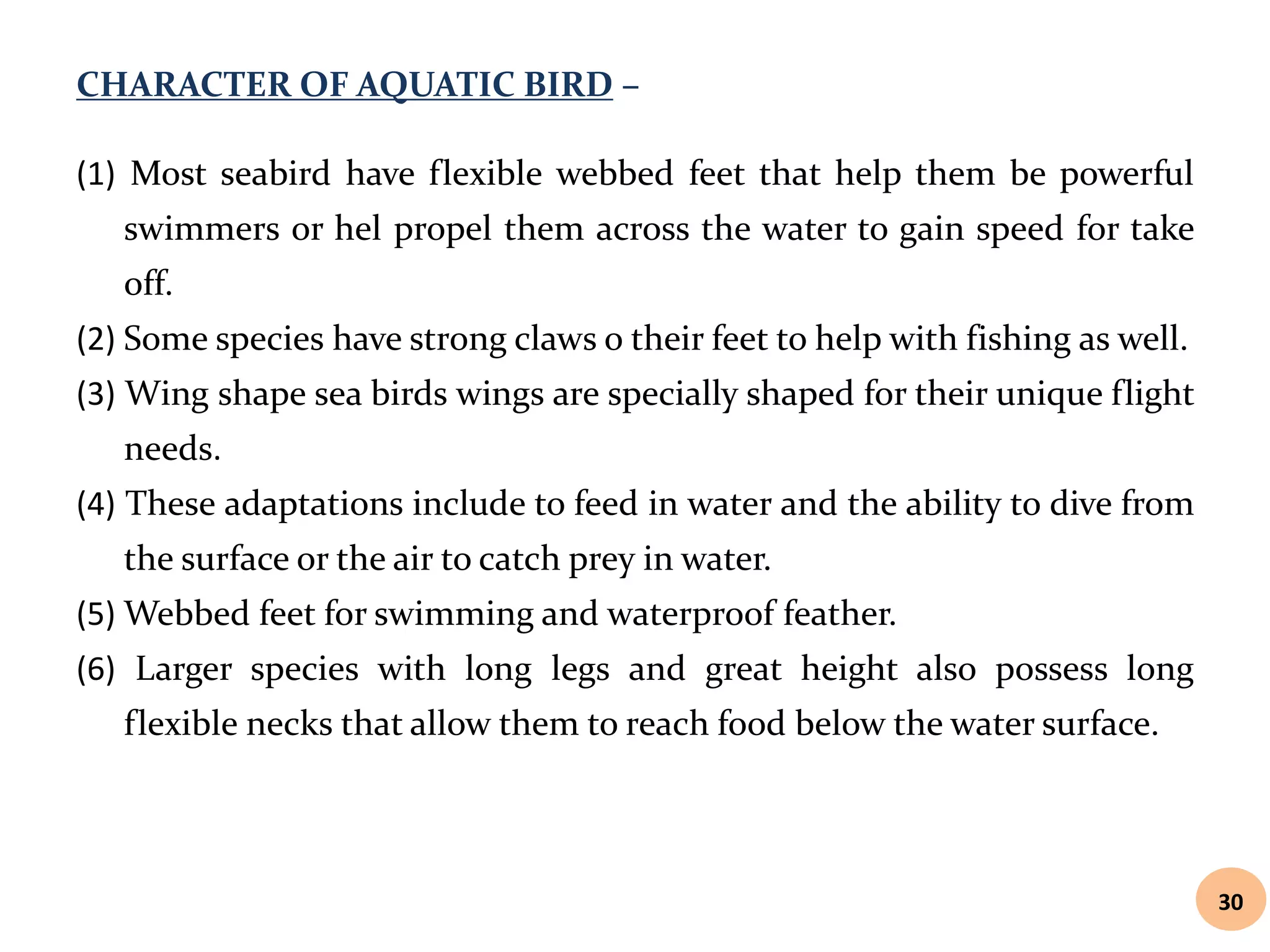 Birds project - collection and identification of birds | PPTX