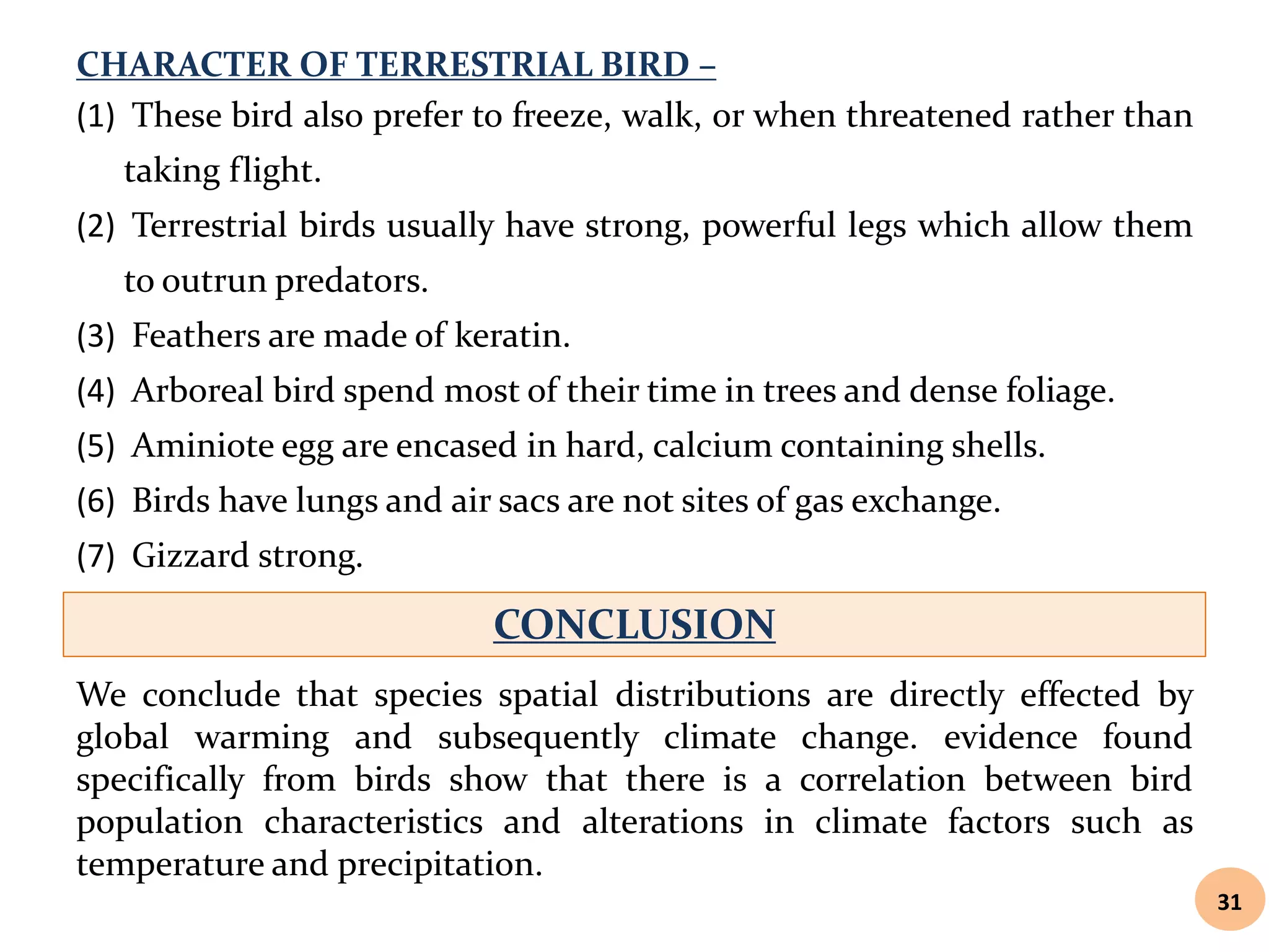 Birds project - collection and identification of birds | PPTX