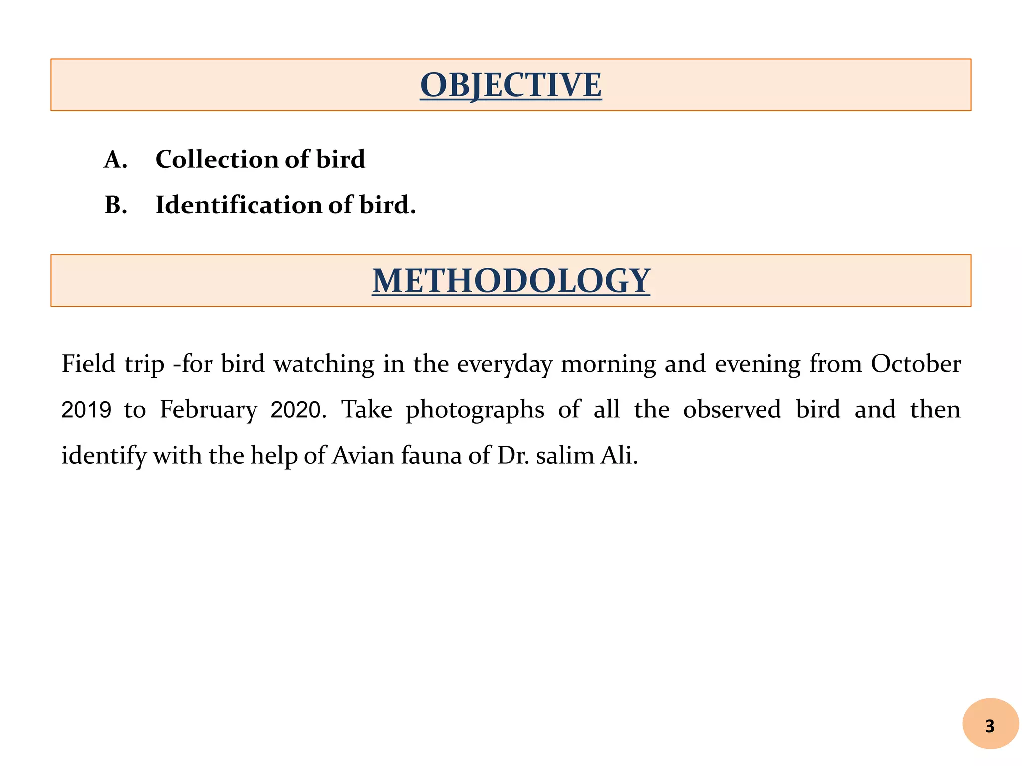 Birds project - collection and identification of birds | PPTX ...