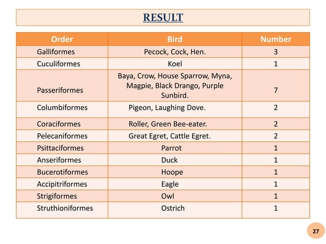 Birds project - collection and identification of birds | PPTX ...