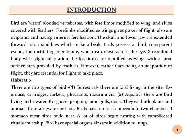Birds project - collection and identification of birds | PPTX ...