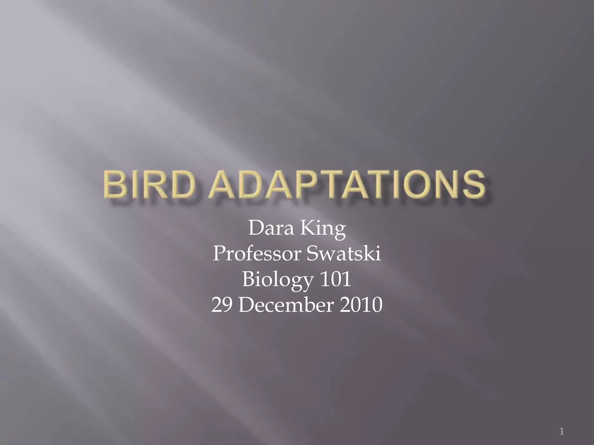 Bird Adaptations | PPTX