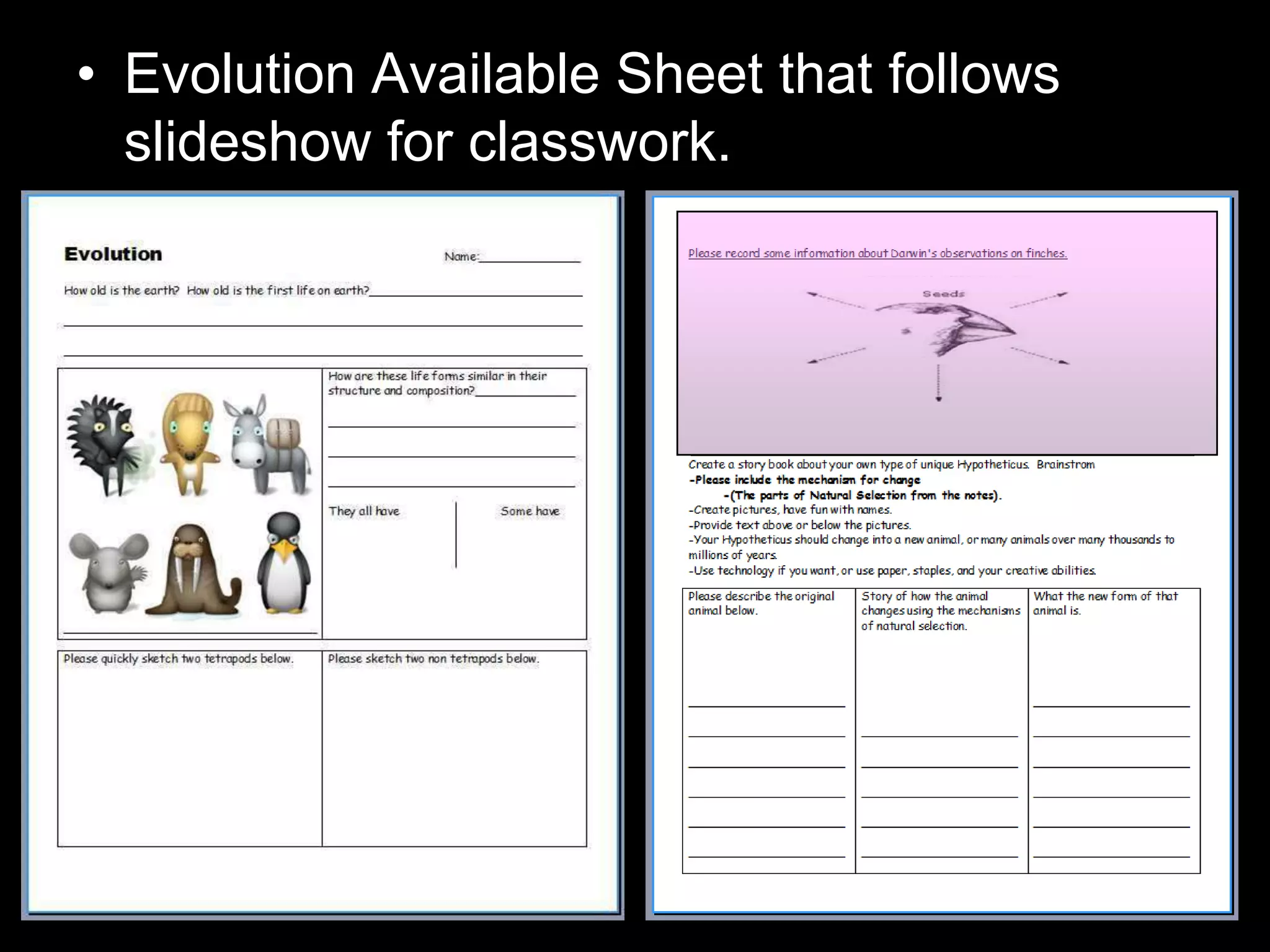 Evolution, Bird Adaptations Lesson, Biology PowerPoint, Bird Beaks | PPT
