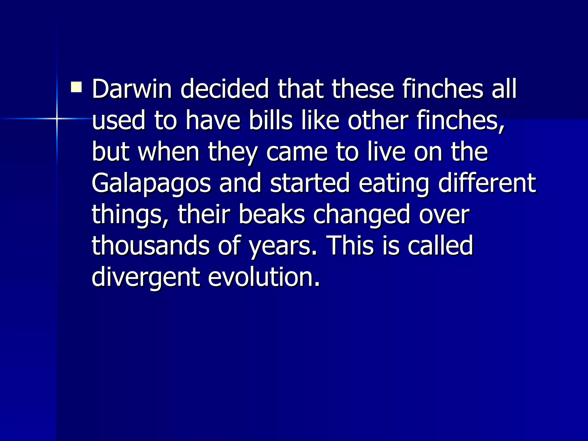 Bird Adaptations Beaks | PPT