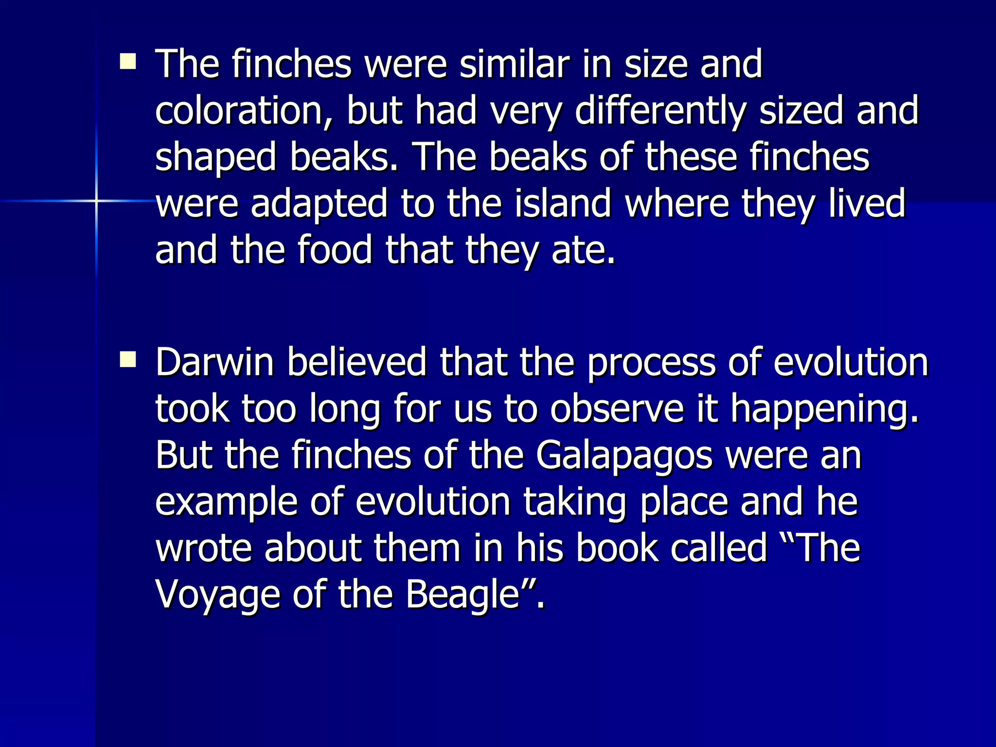 Bird Adaptations Beaks | PPT