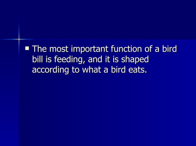 Bird Adaptations Beaks | PPT | Birdwatching | Hobbies & Interests