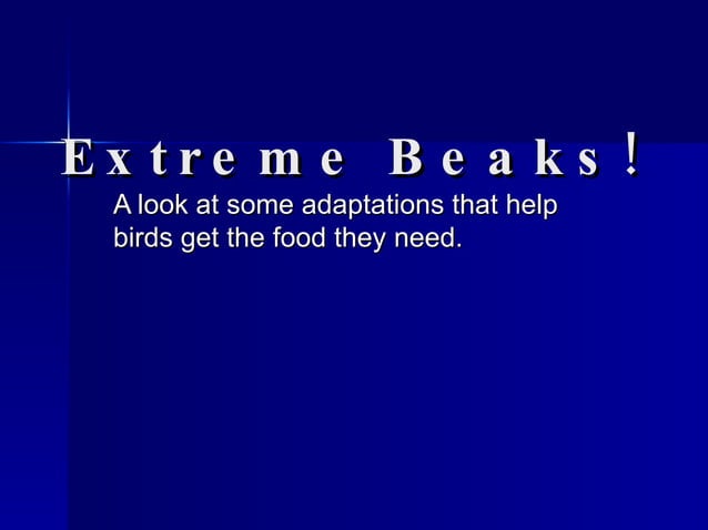 Bird Adaptations Beaks | PPT | Birdwatching | Hobbies & Interests