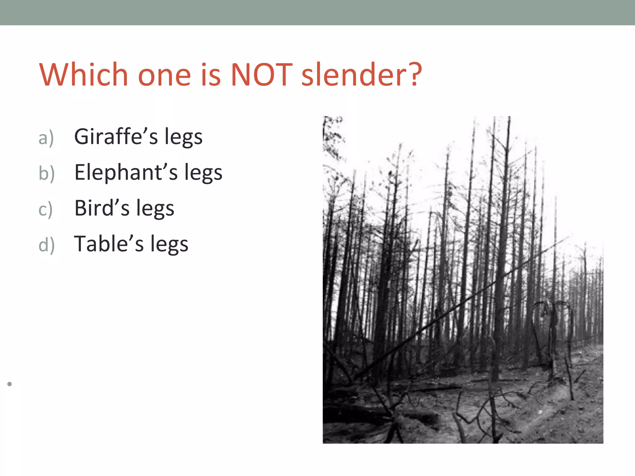Bird Anatomy and Behavior Review | PPT