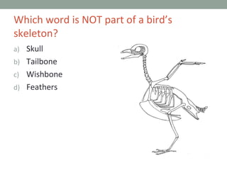 Bird Anatomy and Behavior Review | PPT | Birdwatching | Hobbies & Interests