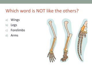 Bird Anatomy and Behavior Review | PPT | Birdwatching | Hobbies & Interests