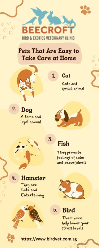 Bird and Exotics pet, Mammals veterinary specialist Clinic Singapore.pdf