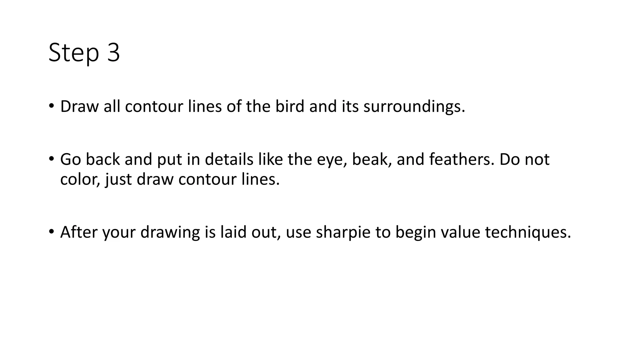 Birds, in Pen, Art Lesson | PPTX