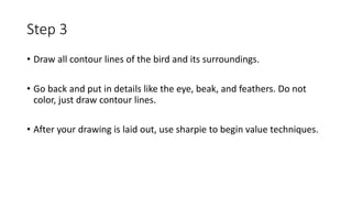 Birds, in Pen, Art Lesson | PPT