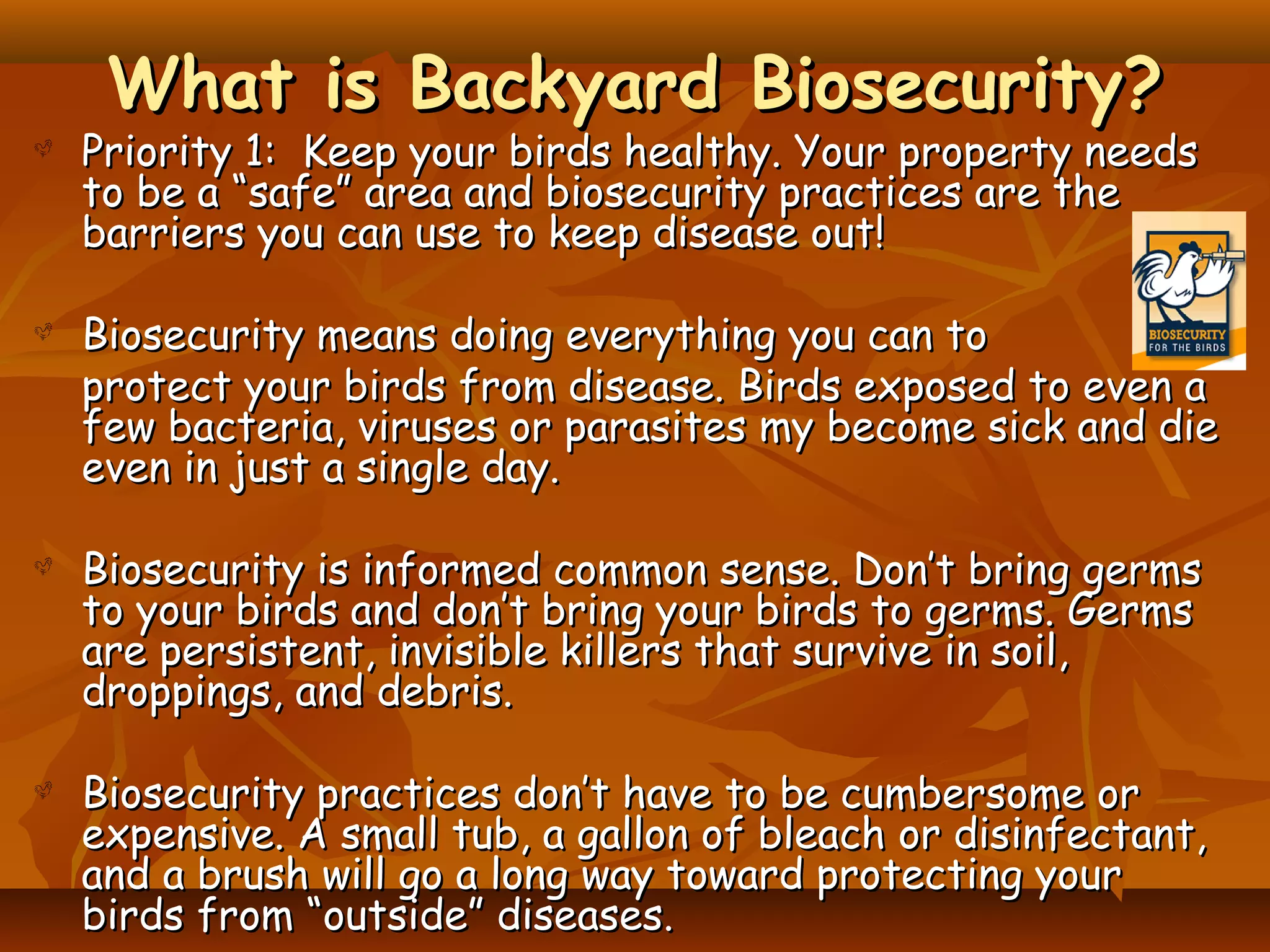 Bird biosecurity | PPT