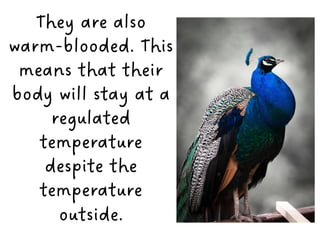 Most Common Bird Characteristics for Kids | PDF