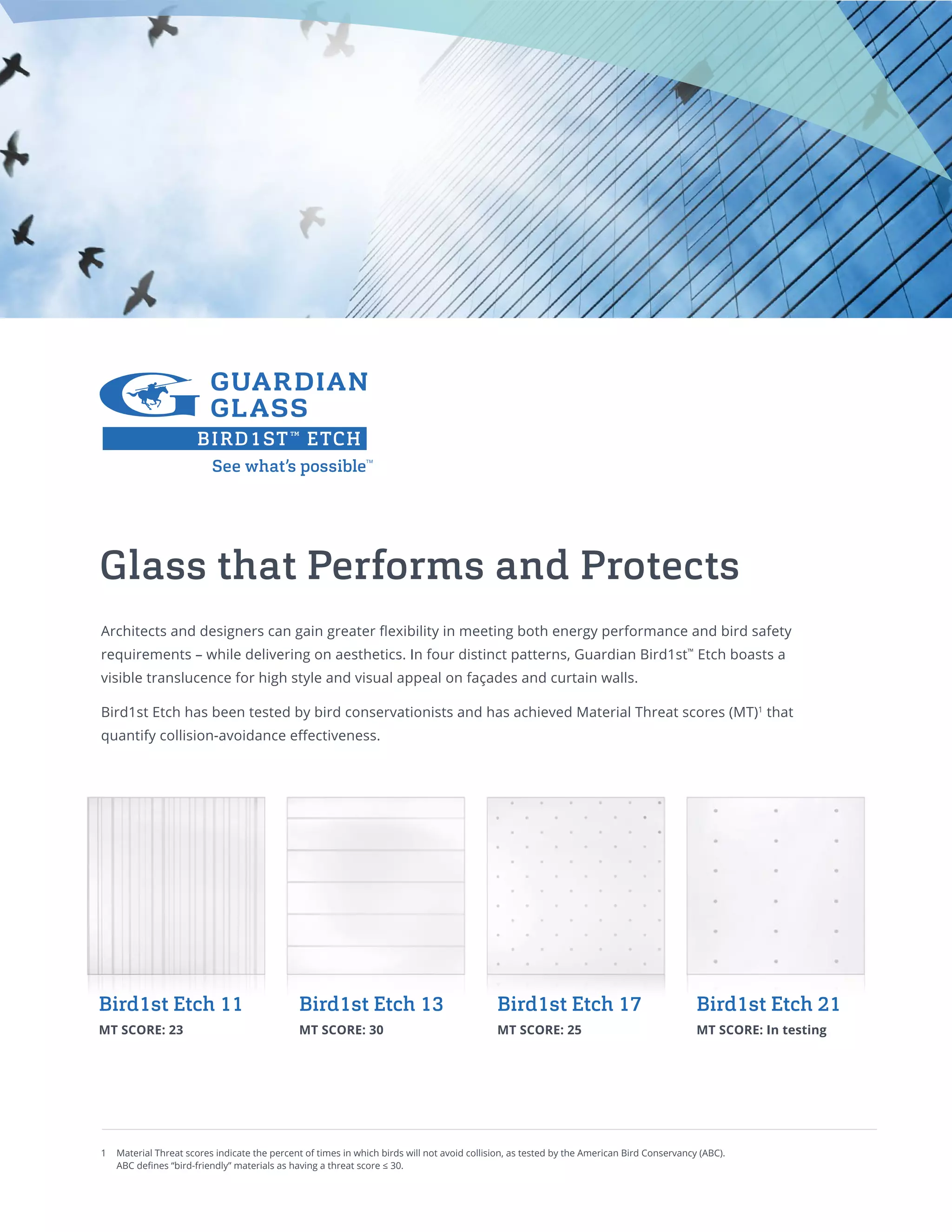 Guardian Bird etch flyer | PDF