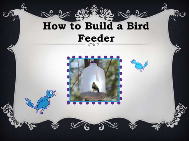 Bird feeder project | PPT
