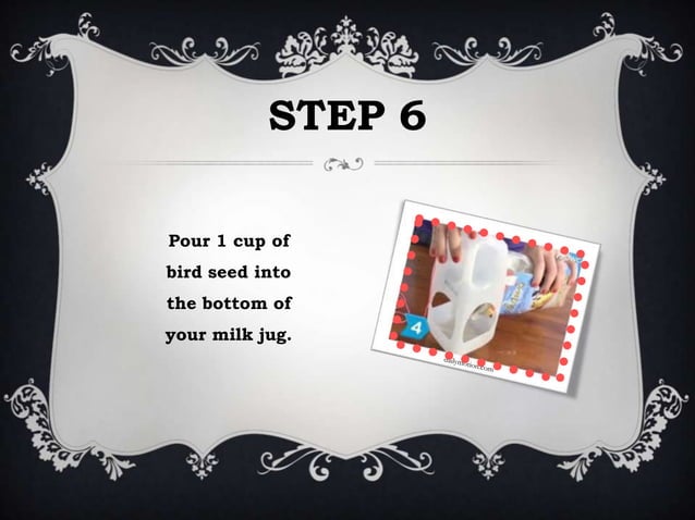 Bird feeder project | PPT