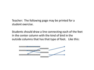 Bird feet (Teach) | PPTX