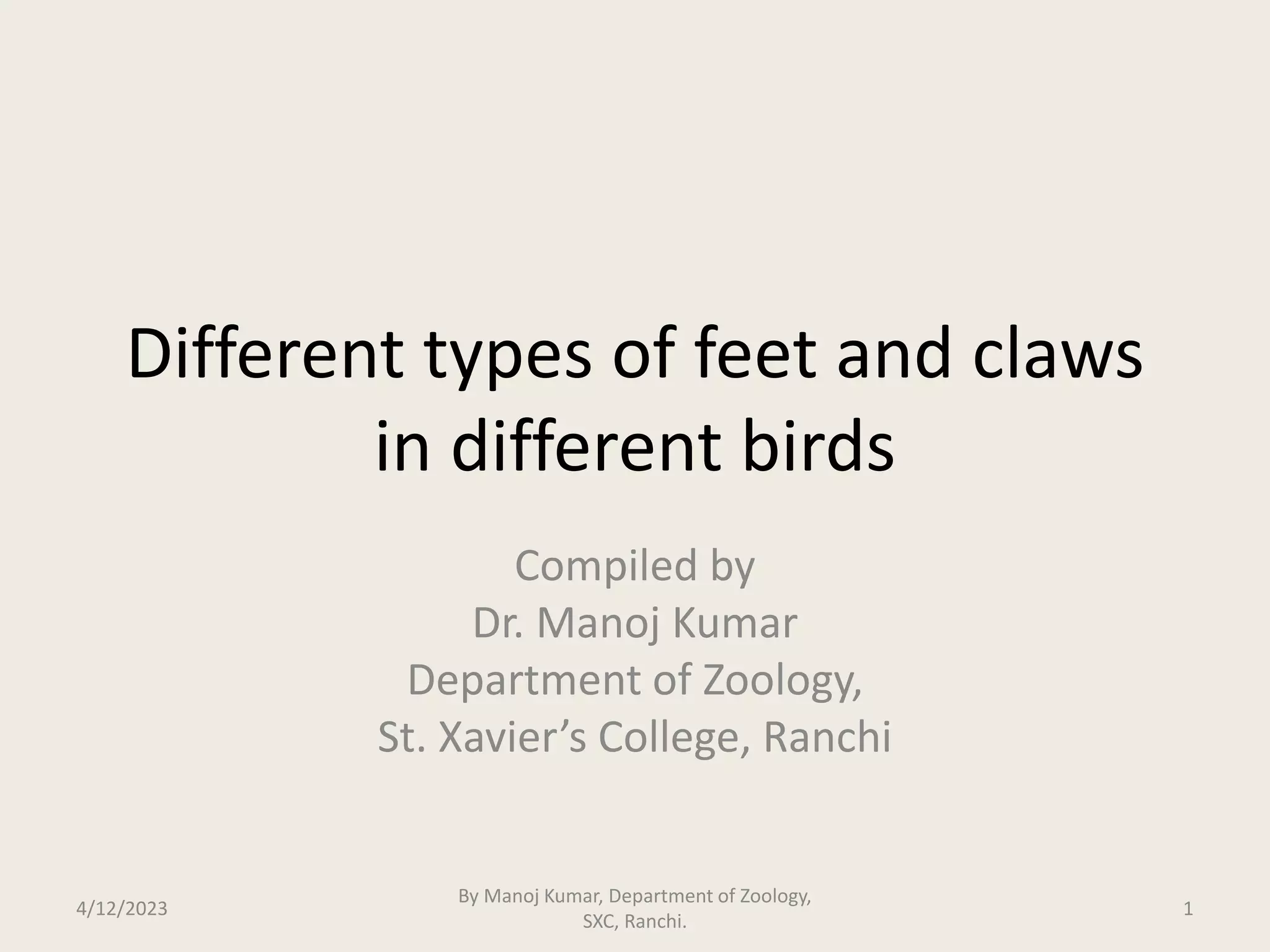 Feet of Birds | PPTX