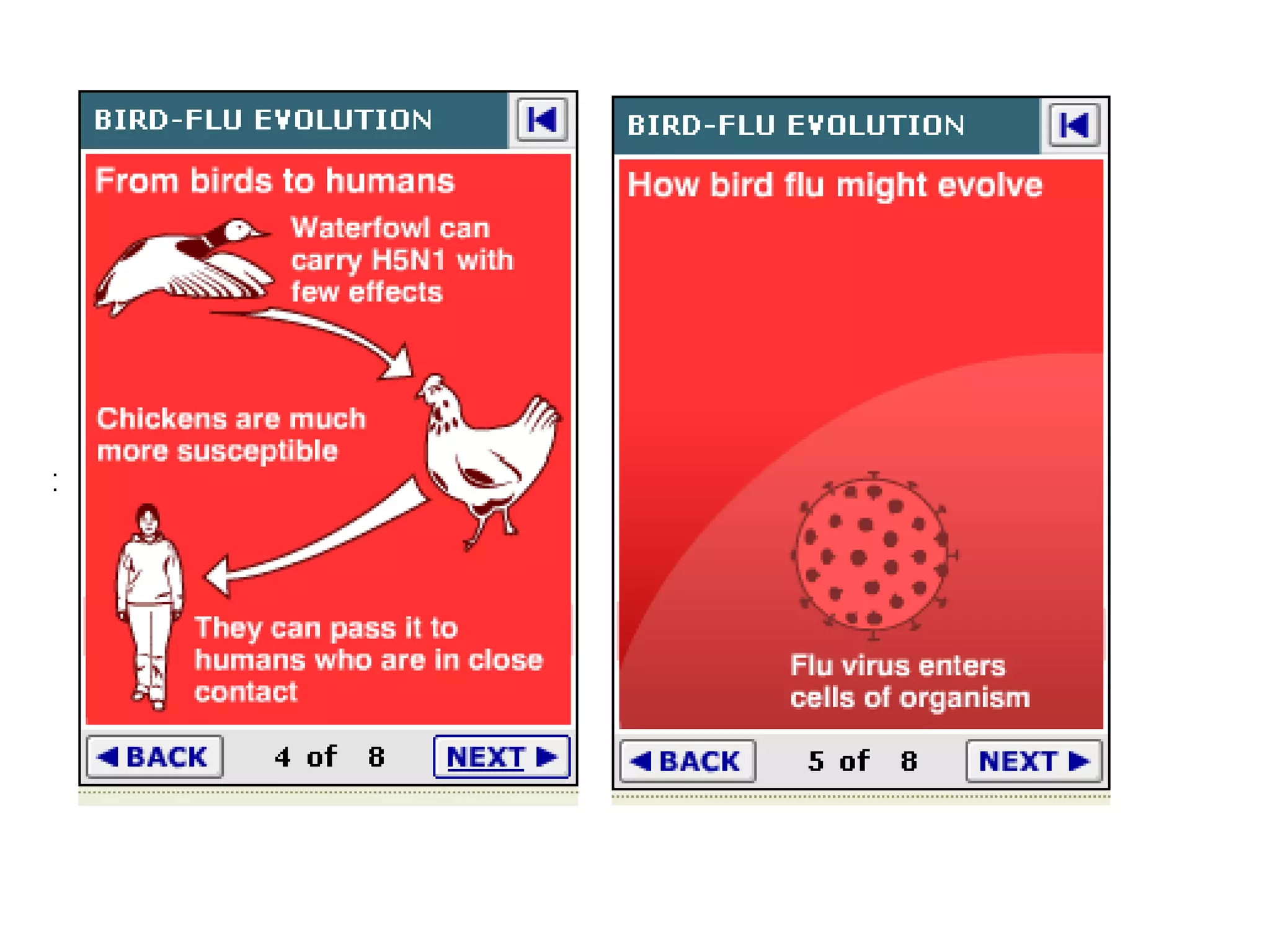 Bird flu | PDF