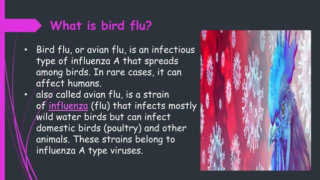 BIRD FLU.pptx