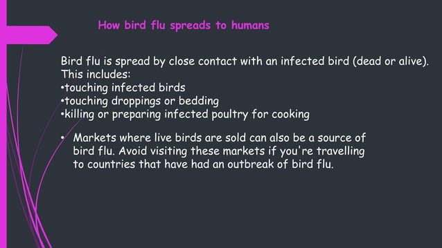 BIRD FLU.pptx