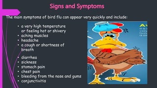 BIRD FLU.pptx