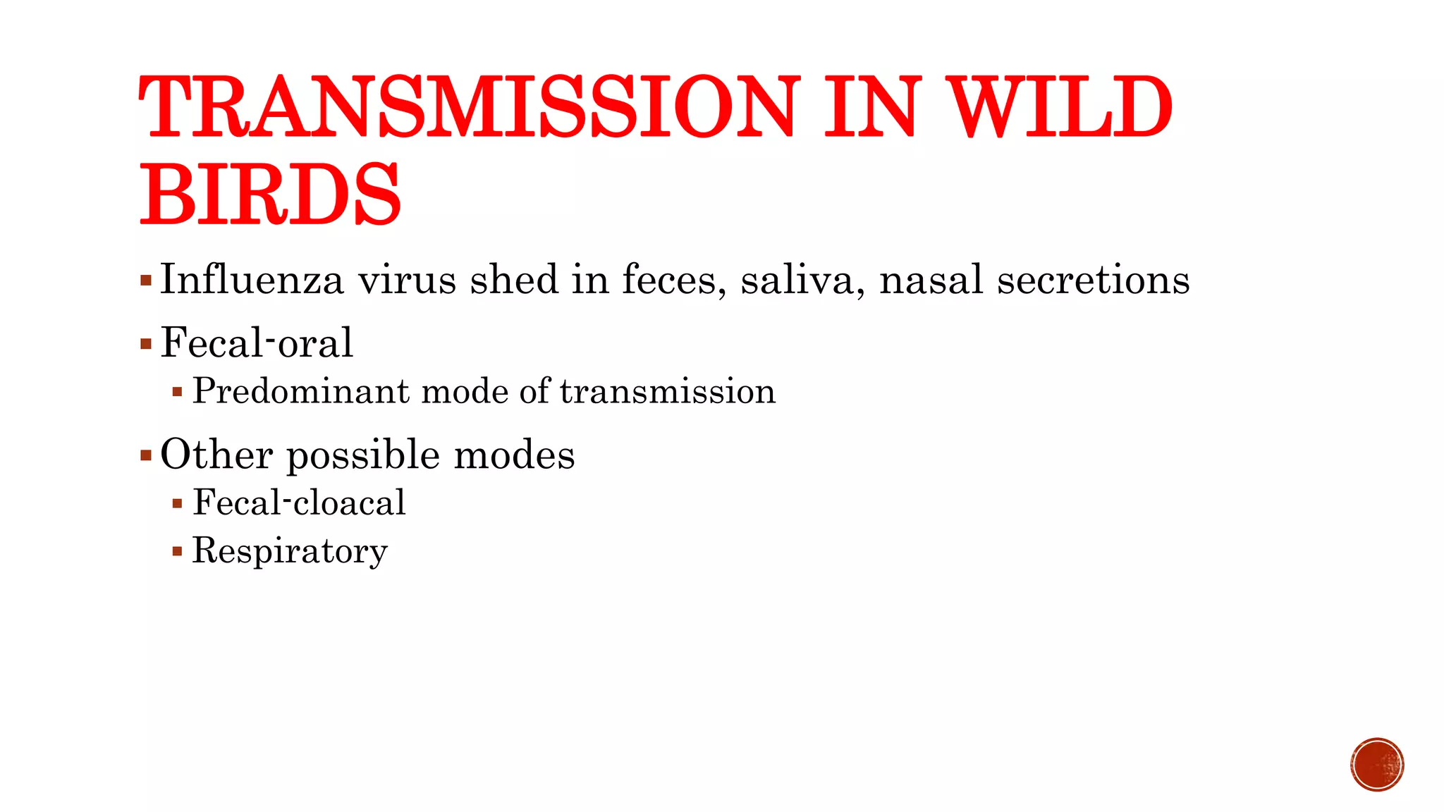 Bird Flu.pptx | Infectious Diseases | Diseases and Conditions