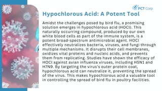 Bird Flu A Looming Threat And A Promising Solution | PPT