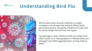 Bird Flu A Looming Threat And A Promising Solution | PPT