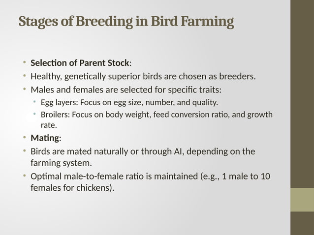 bird farms and BIRD FaRMING presentation.pptx