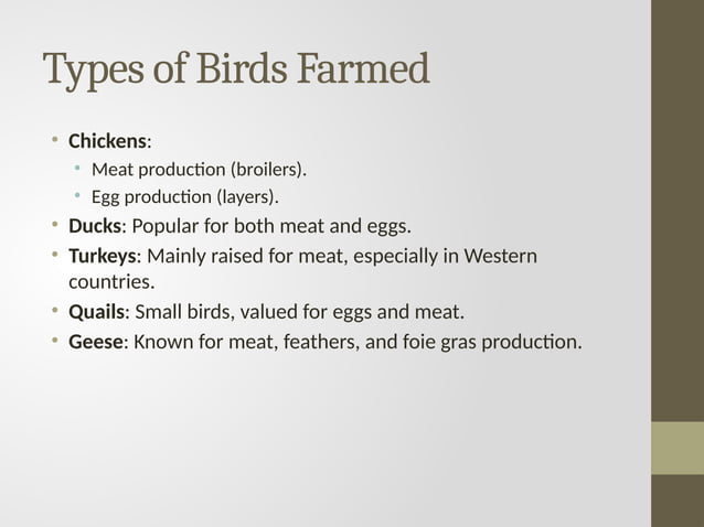 bird farms and BIRD FaRMING presentation.pptx