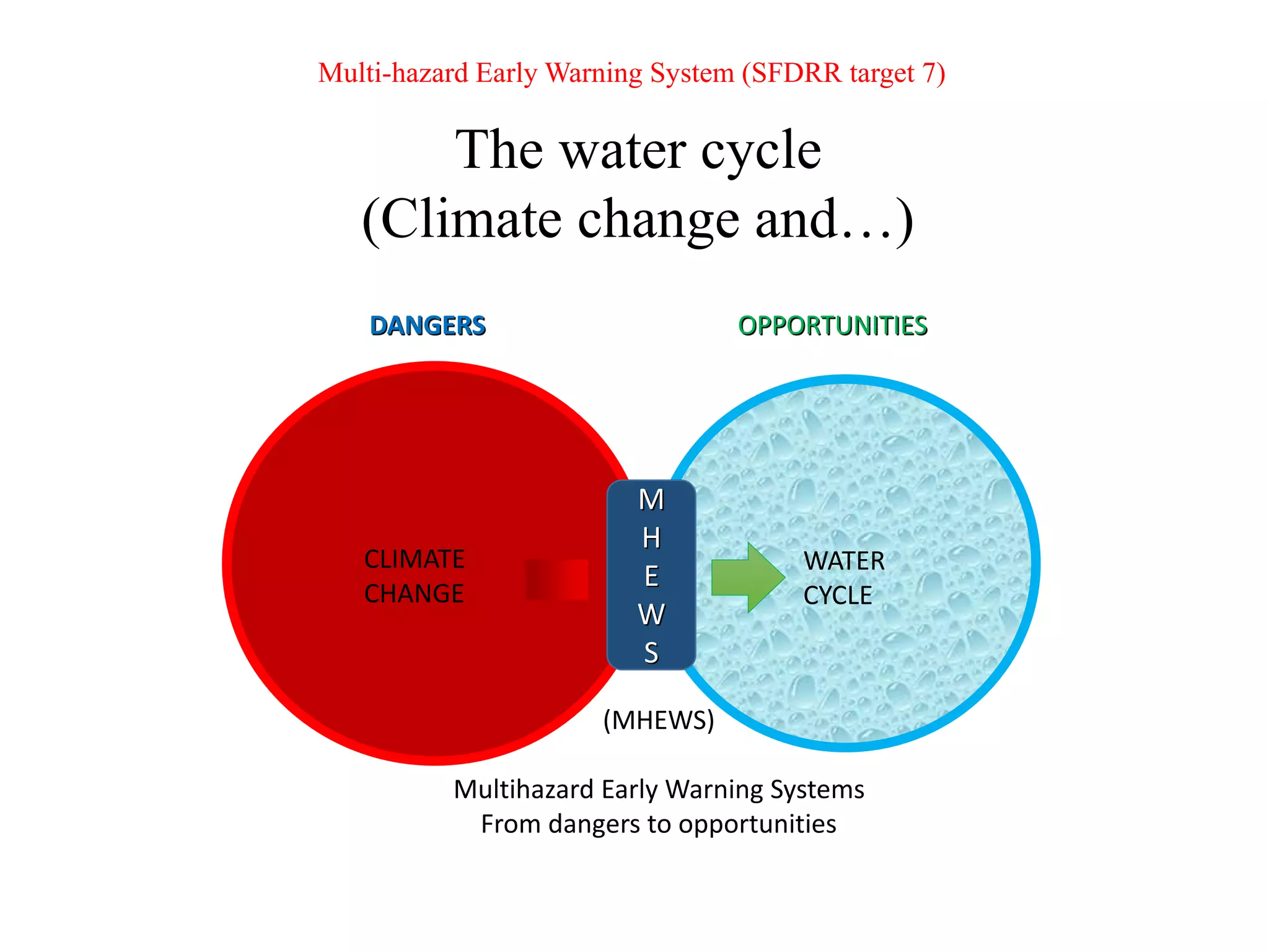 Bird georges radjou sendai framework disaster (sfdrr) | PDF
