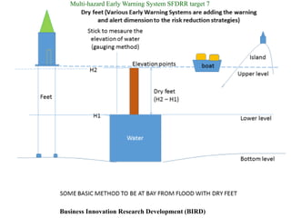 Bird georges radjou sendai framework disaster (sfdrr) | PDF