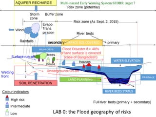 Bird georges radjou sendai framework disaster (sfdrr) | PDF