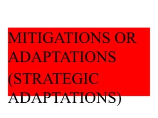Bird georges radjou sendai framework disaster (sfdrr) | PDF