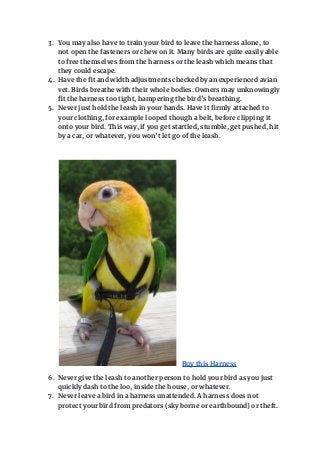 Bird harness - Aviator Bird Harness. Fred Bird Harness. Feather Tether ...