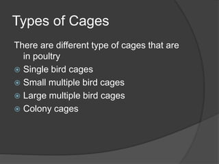 Bird in cages | PPTX