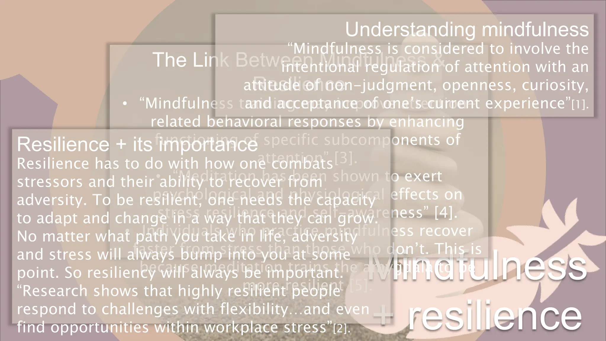 Bird Watching and Mindfulness Powerpoint.pptx