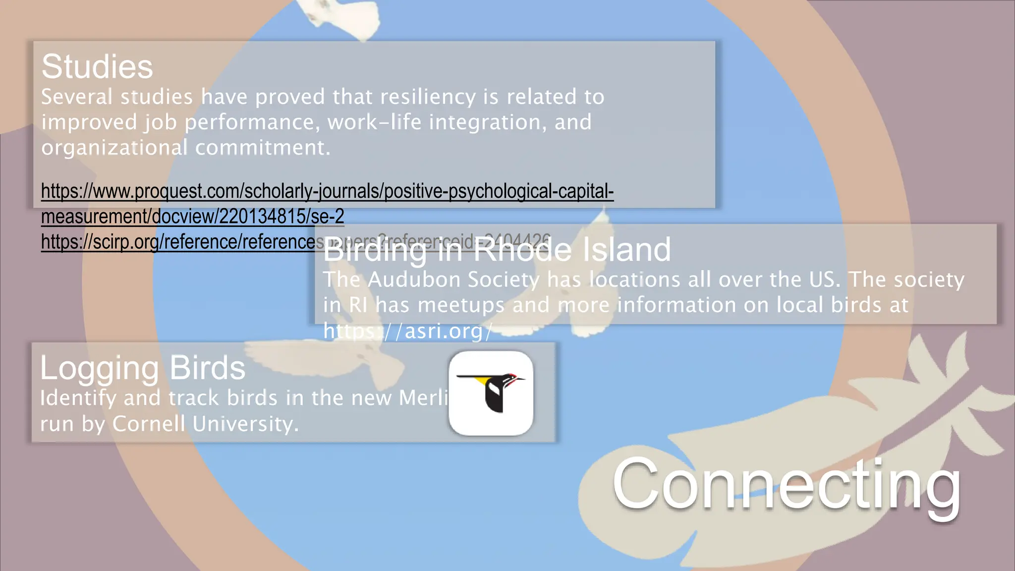 Bird Watching and Mindfulness Powerpoint.pptx