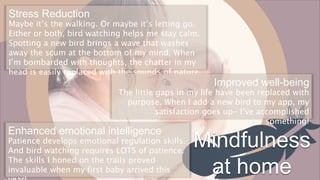Bird Watching and Mindfulness Powerpoint.pptx