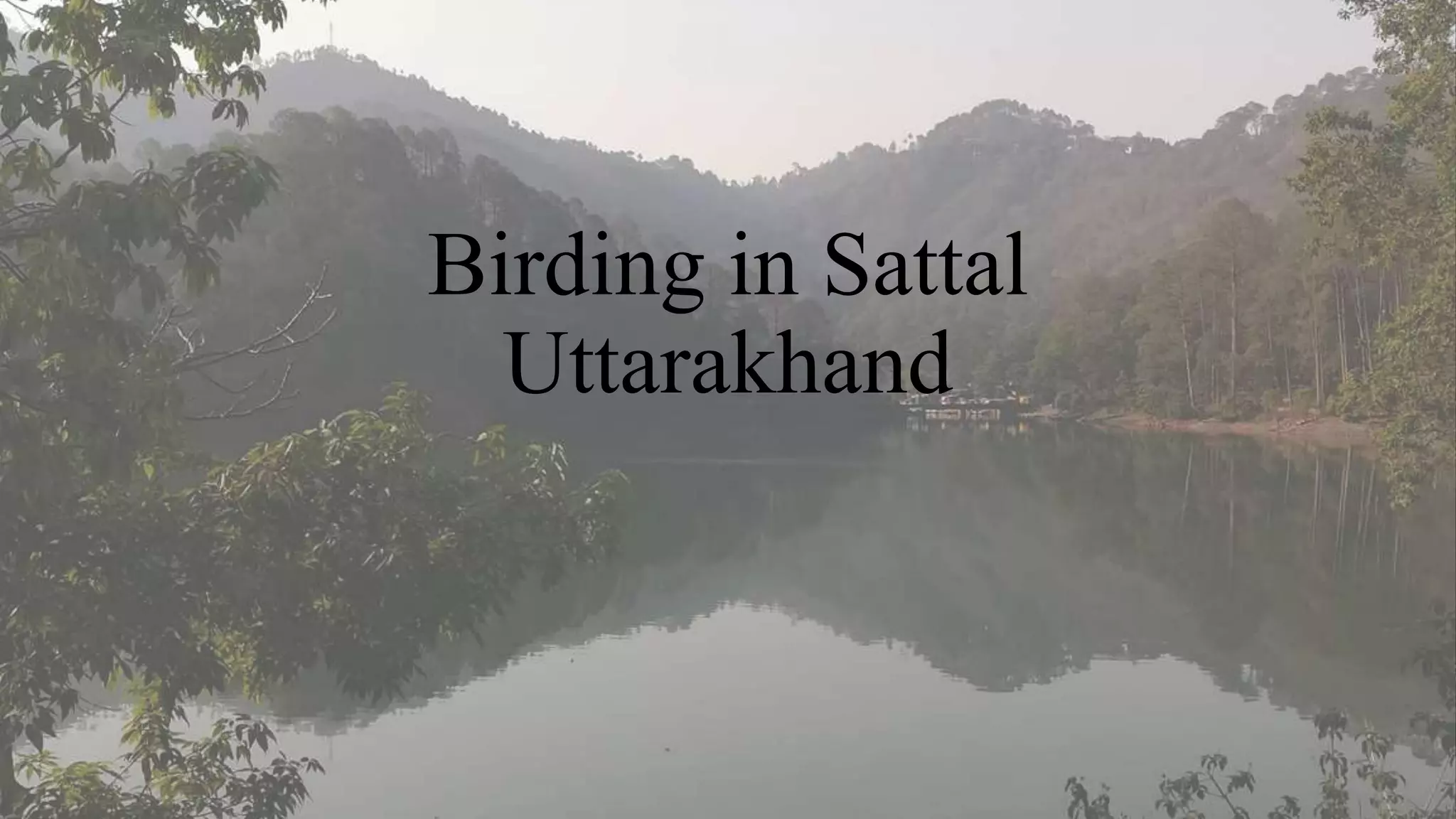 Birding in sattal Uttarakhand | PPTX