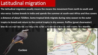 BIRD MIGRATION (ANIMAL BEHAVIOR) | PDF